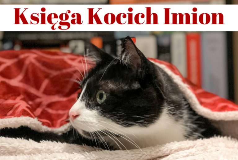 Księga Kocich Imion – Kocia Madka